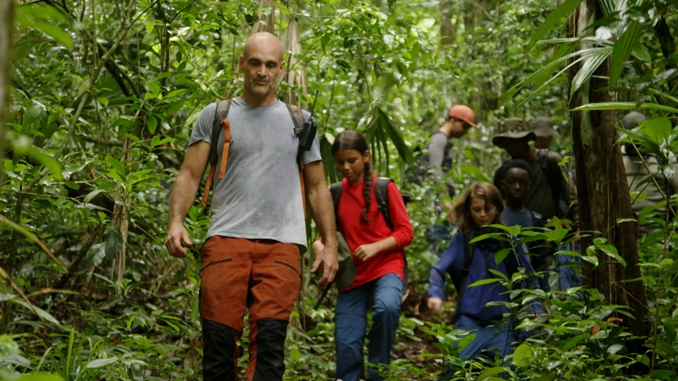 What's On | Freeview